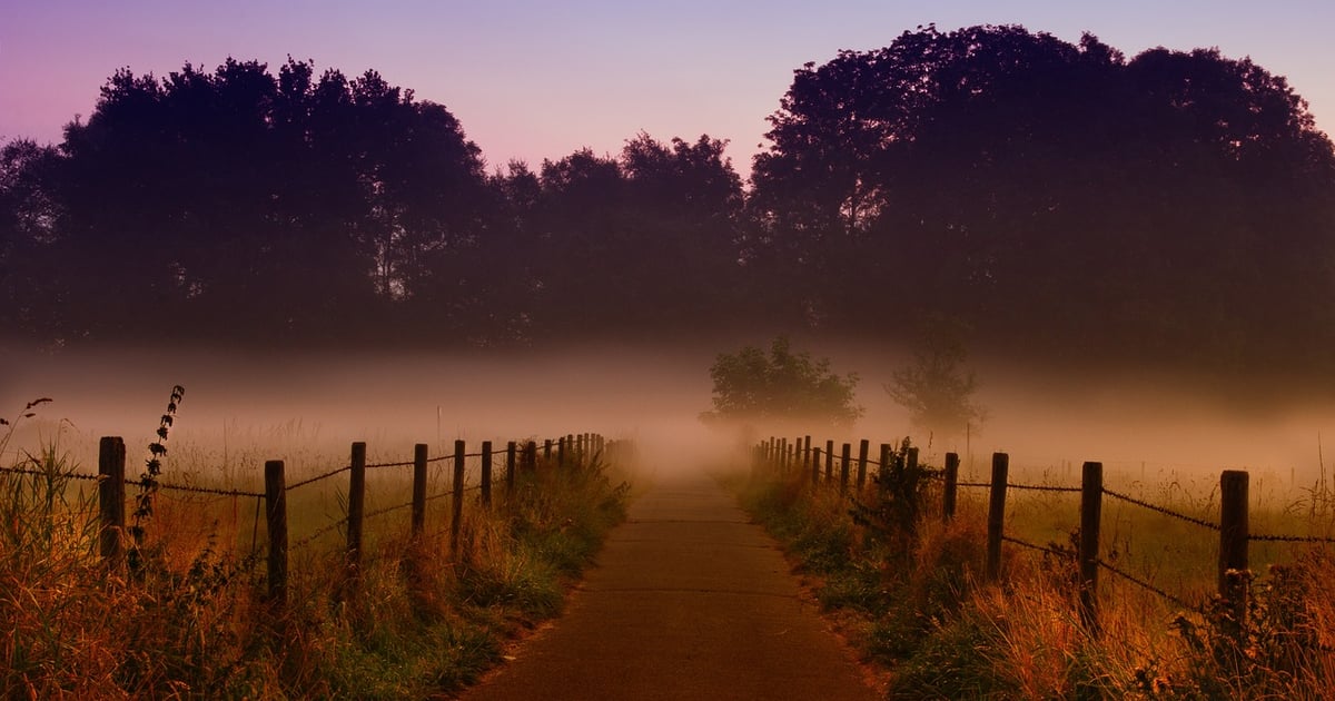 Meine Schwerpunkte | Marc Rappenecker - Mitte & Ruhe