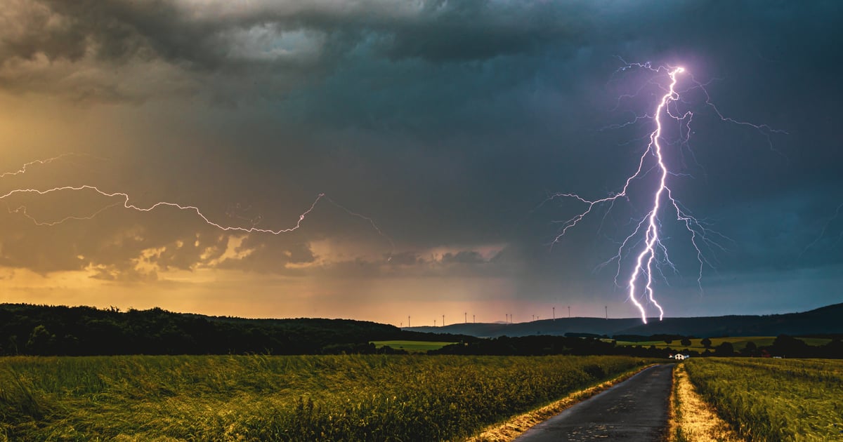 Natur - Portfolio | Marcus Lerch Fotografie