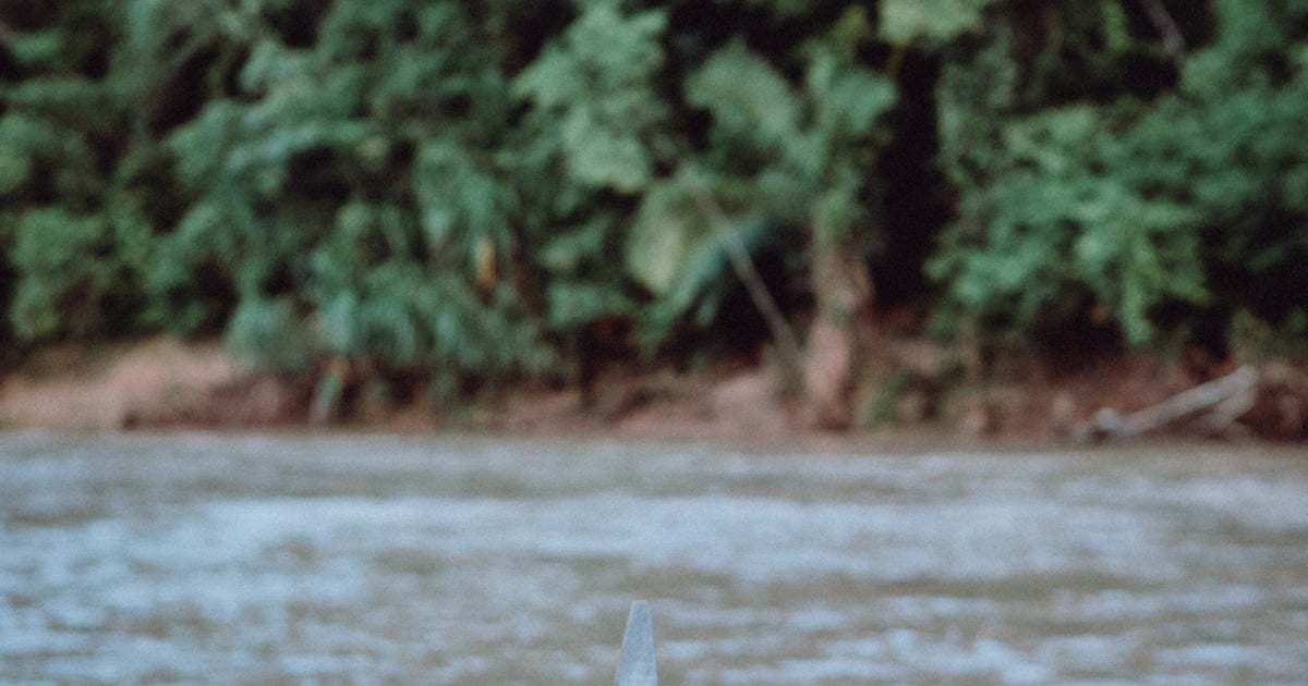 Unsere Arbeit - Menü Deutsch | Living Gaia e.V.