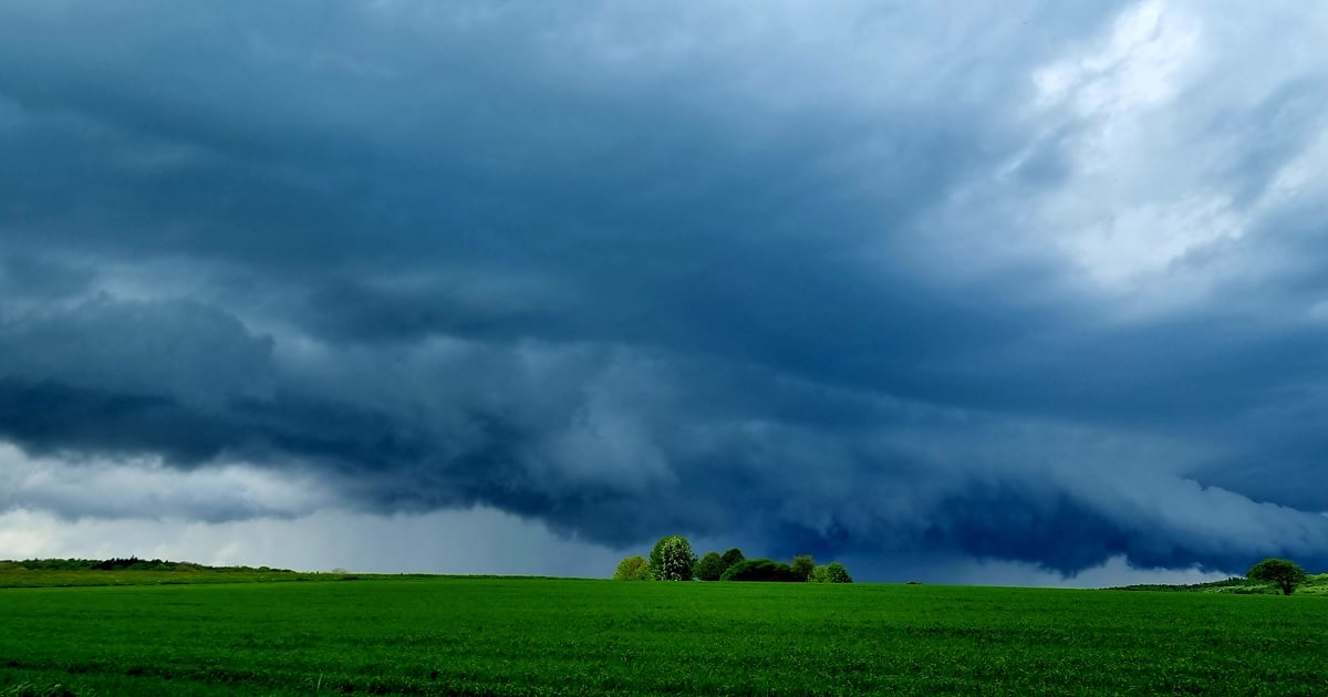 Meine Leistungen | Susi Fahringer