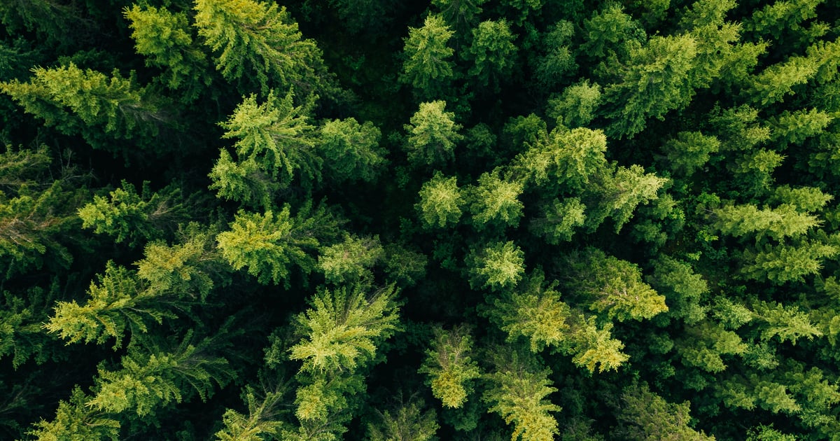 rebo - Home EN | Tianshi