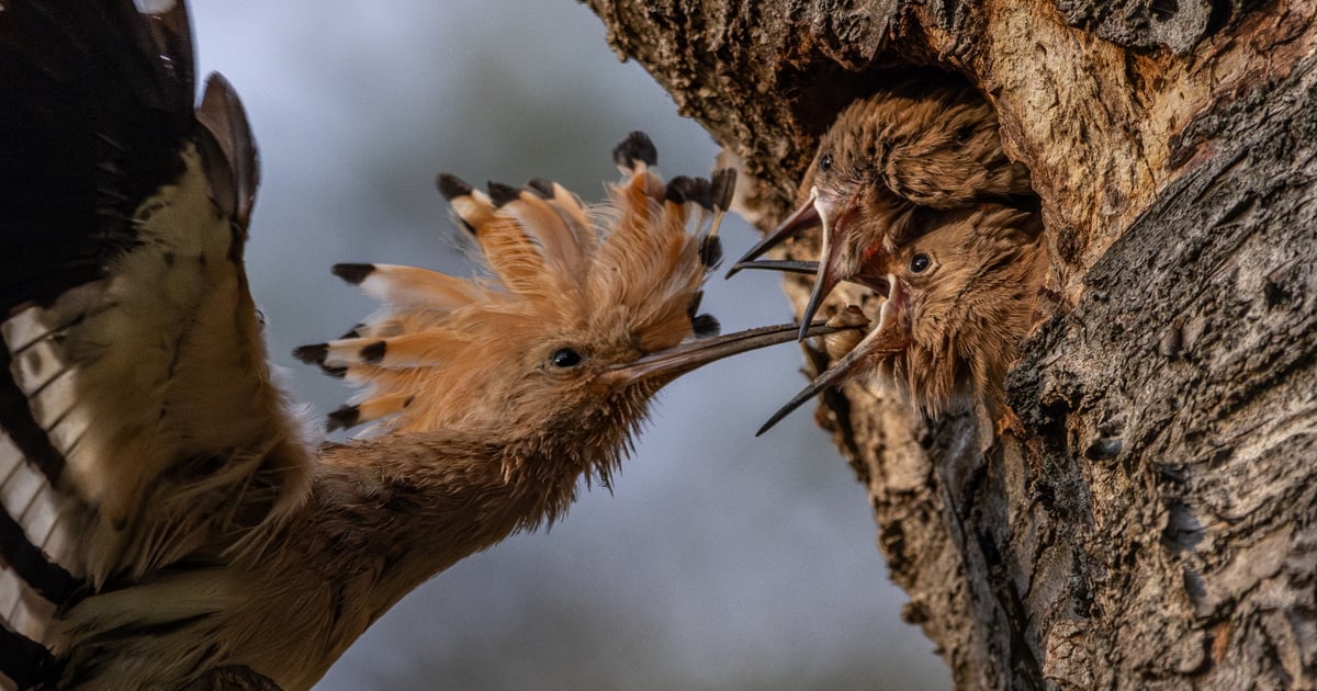 Reinhard Messner - Photographer | MMF Photography