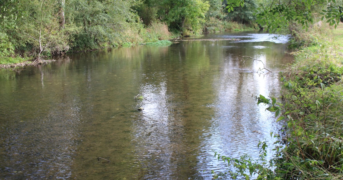 Les parcours mouche - OU ALLER PECHER - LA PECHE | La gardonnette ...