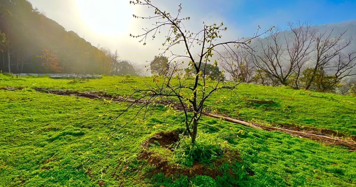 水空 生態系デザイン | suiku