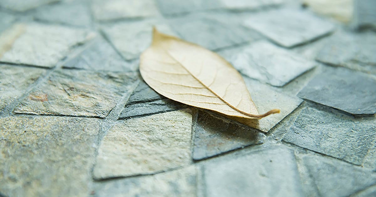 Home | Digitalsports Fotografie