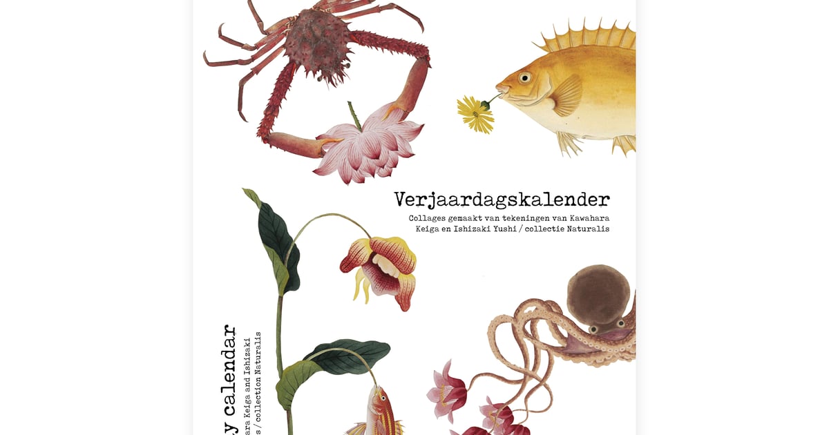 Museum Naturalis | lylies