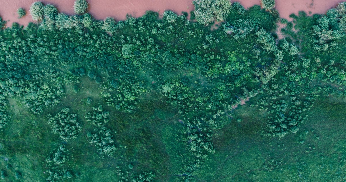 Upcoming Events | Marion Roe Memorial Scholarship Foundation