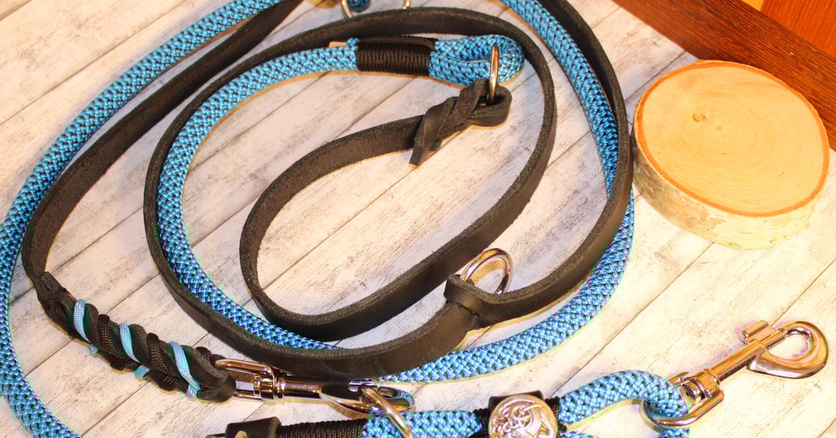 Tau-Leder Leine "Bigblue" - Leinen - Shop | Tiban for Dogs