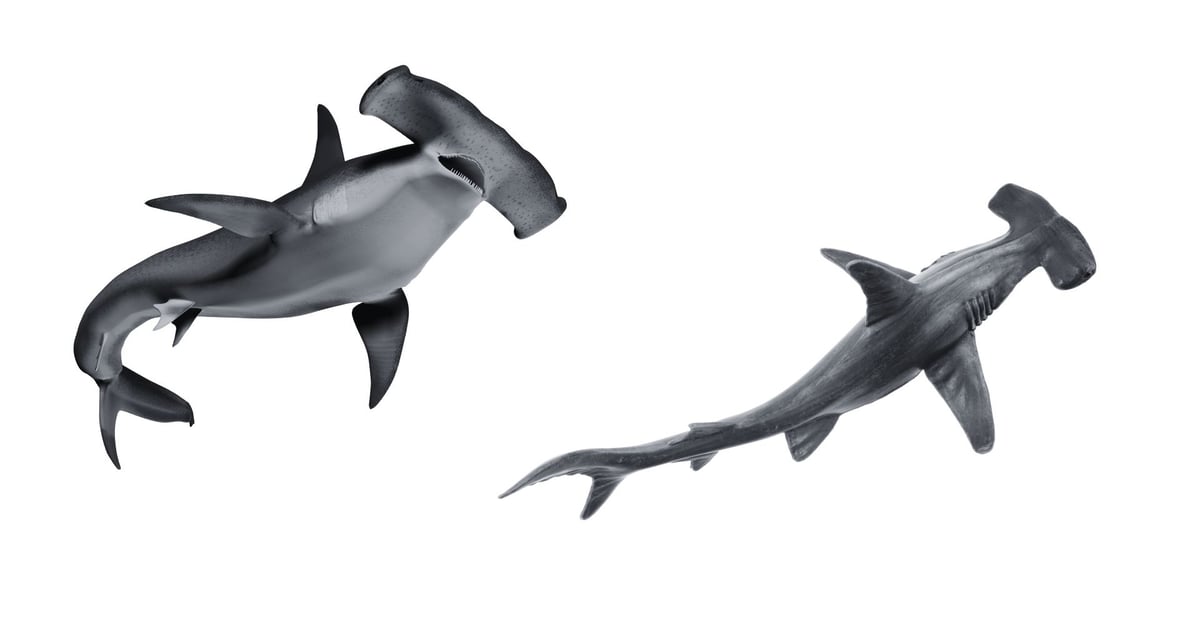 Equipo base - Quiénes Somos | ALLEN MANZA INC