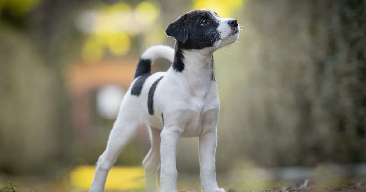 Quinny | Heike Graf Dynamic Future