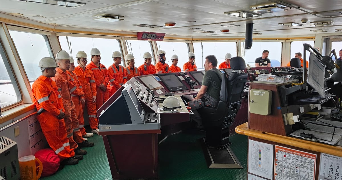 HSSEQ - Services | Victoria Marine Ship Management