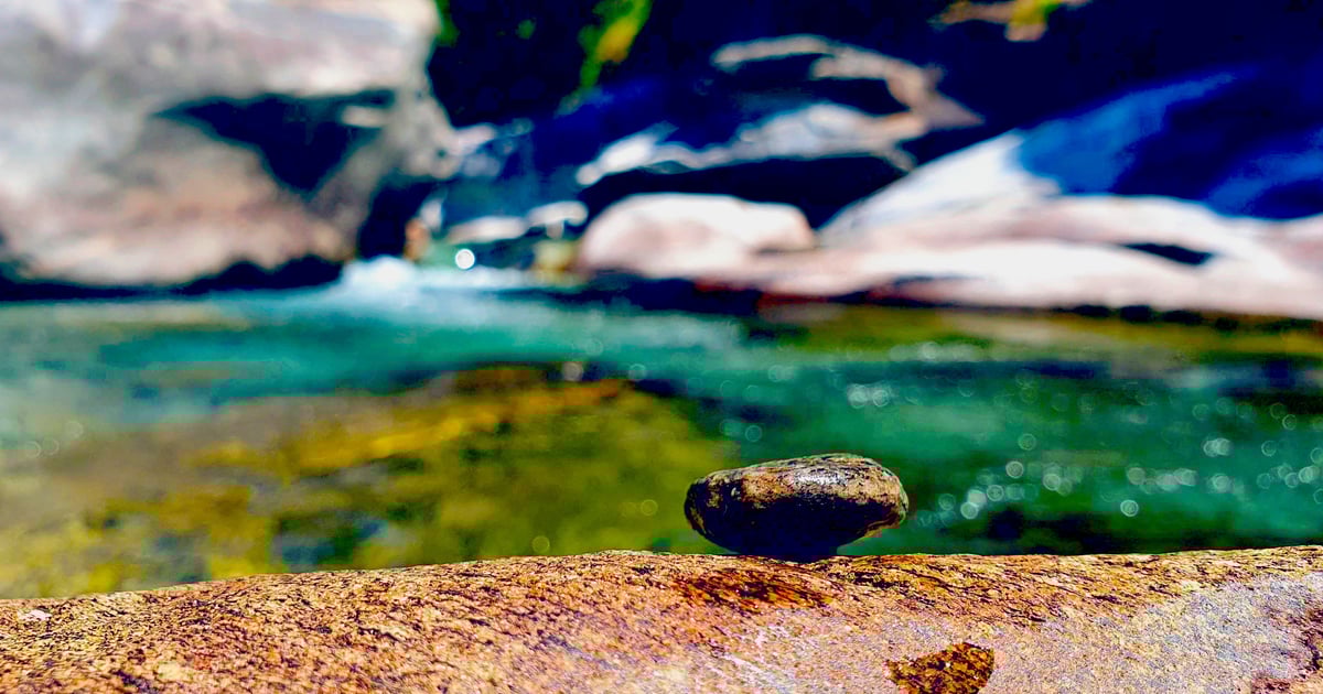 Home | Vitanamed Simone Marra