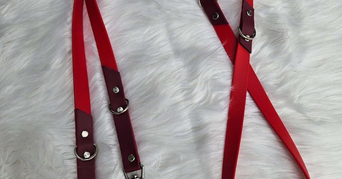 ''BioThane Rot'' - BioThane Leinen - Shop | InasDogProducts