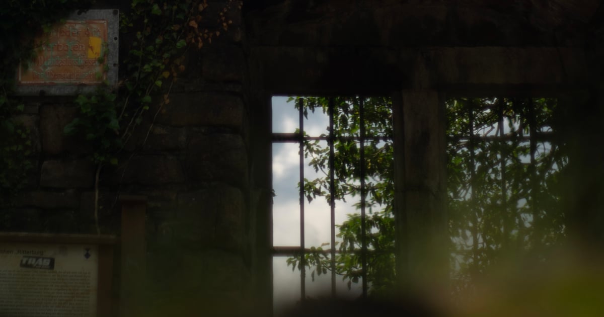 Working Space | ZEUS Movie Productions