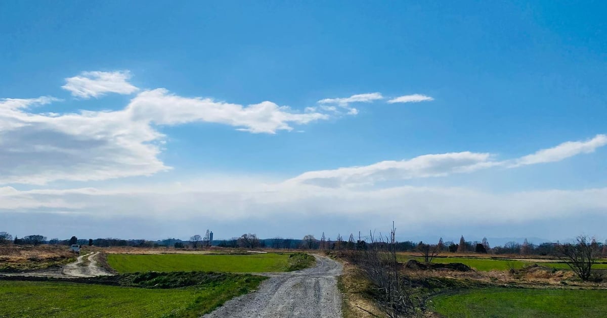 Home | Project Walks