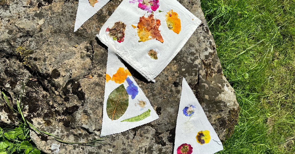 Farbenwerkstatt - Programmübersicht - Unser Angebot | Naturblick - Natur sehen & verstehen