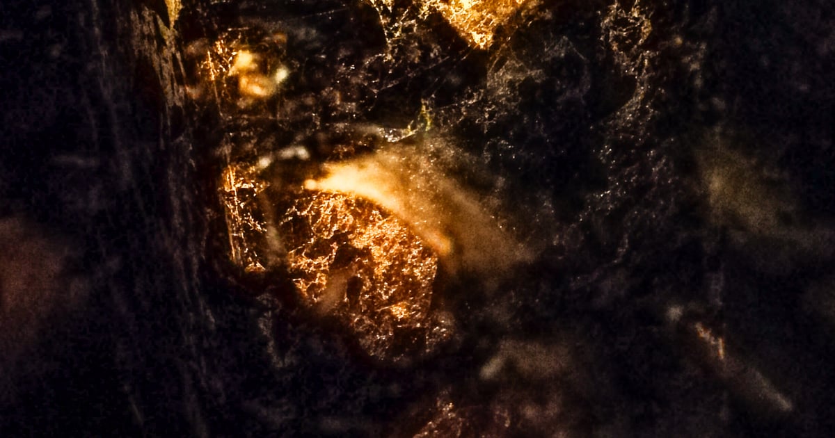 Portfolio | Verre D´ Or