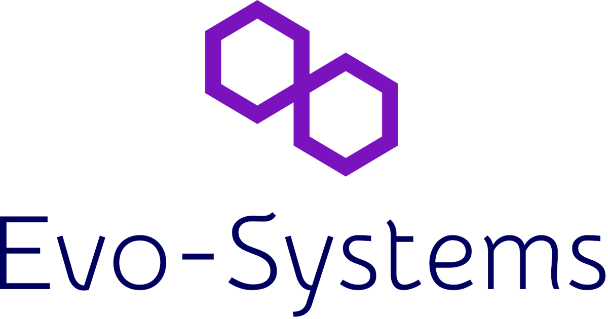 IT-Management | evo-systems