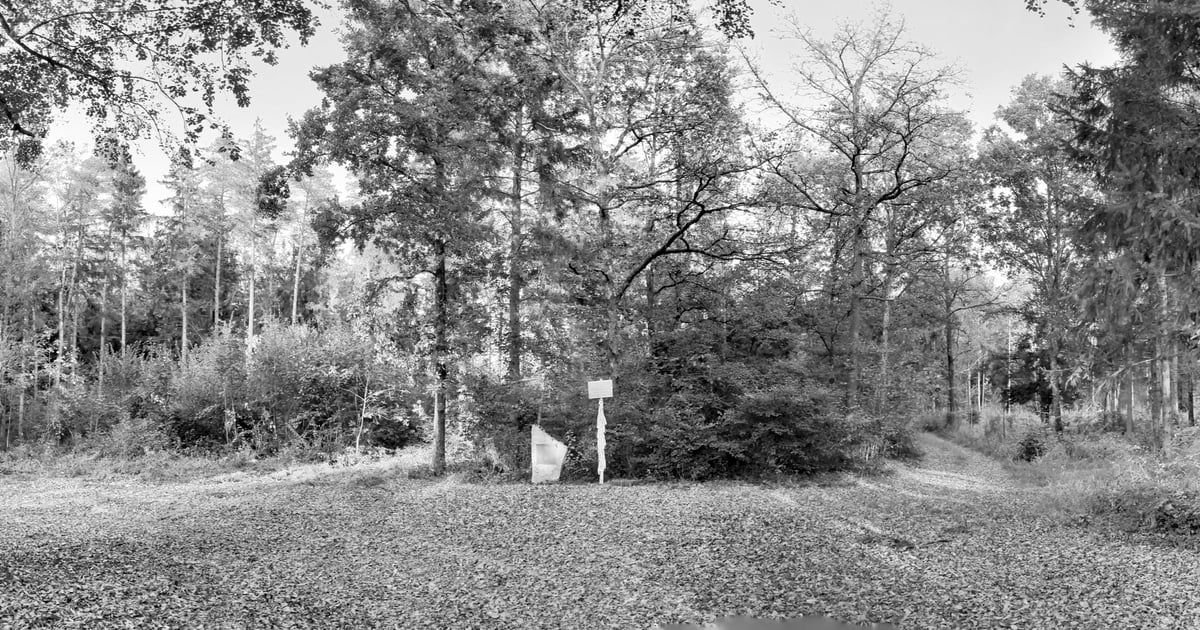 Deutsch | Lager Gunskirchen