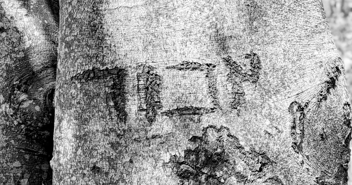 Publikationen - Deutsch | Lager Gunskirchen