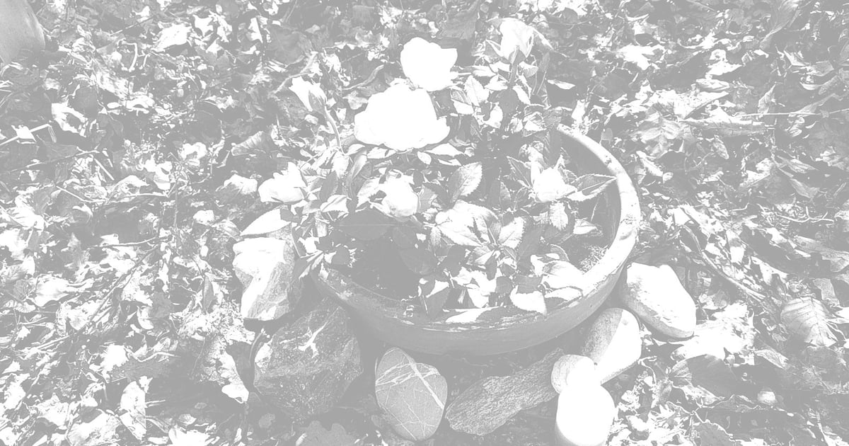 Termine - Deutsch | Lager Gunskirchen