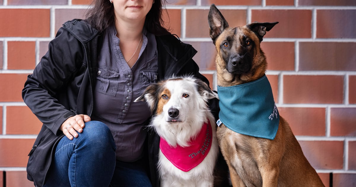 Zweibeiner - Team | Crazy Pfoten