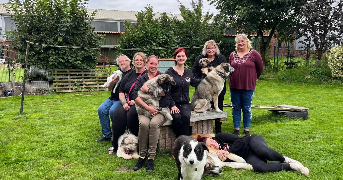 Glücklich vermittelt - Tiere zur Vermittlung | Divis kleine Farm und Freunde