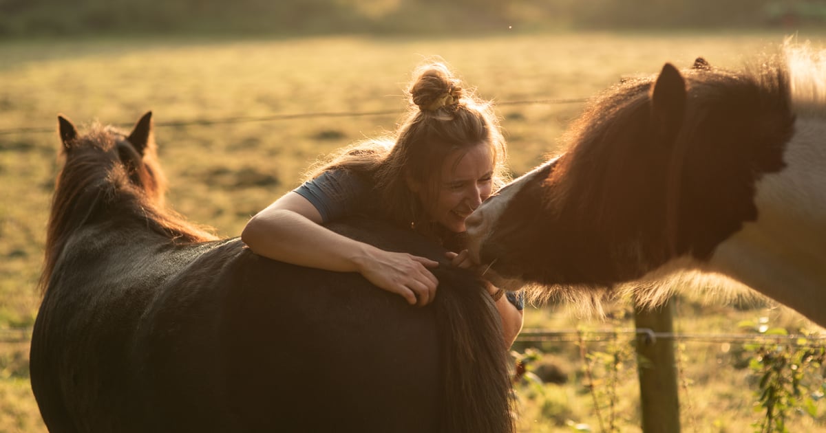 Belohnungsbasiertes Pferdetraining | Luise Wolf