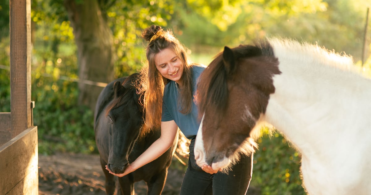 Belohnungsbasiertes Pferdetraining | Luise Wolf