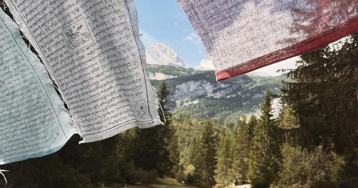 Über mich | Julia Lauer