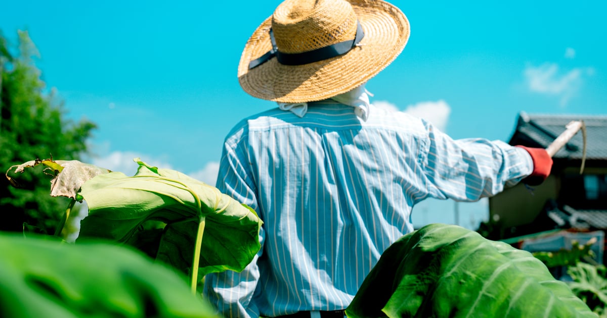 お仕事 | sio.studio