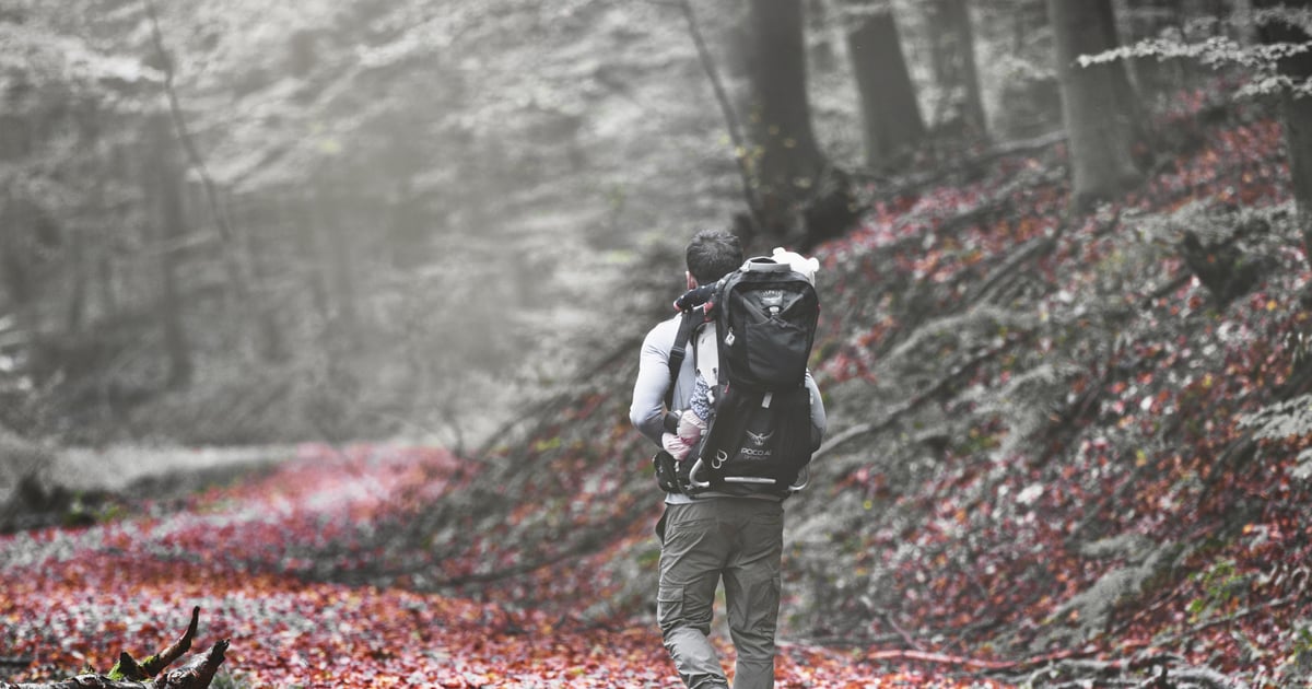 Kontakt | Oliver Sequenz