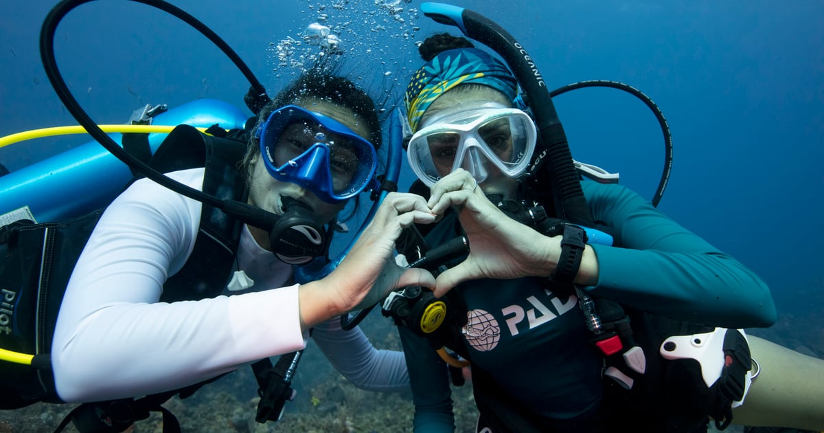Découvrir la plongée | Marine Diving Center