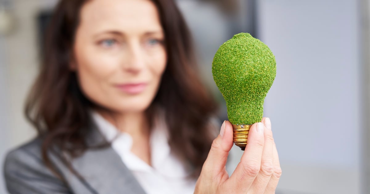 Kontakt | Hammer Projects