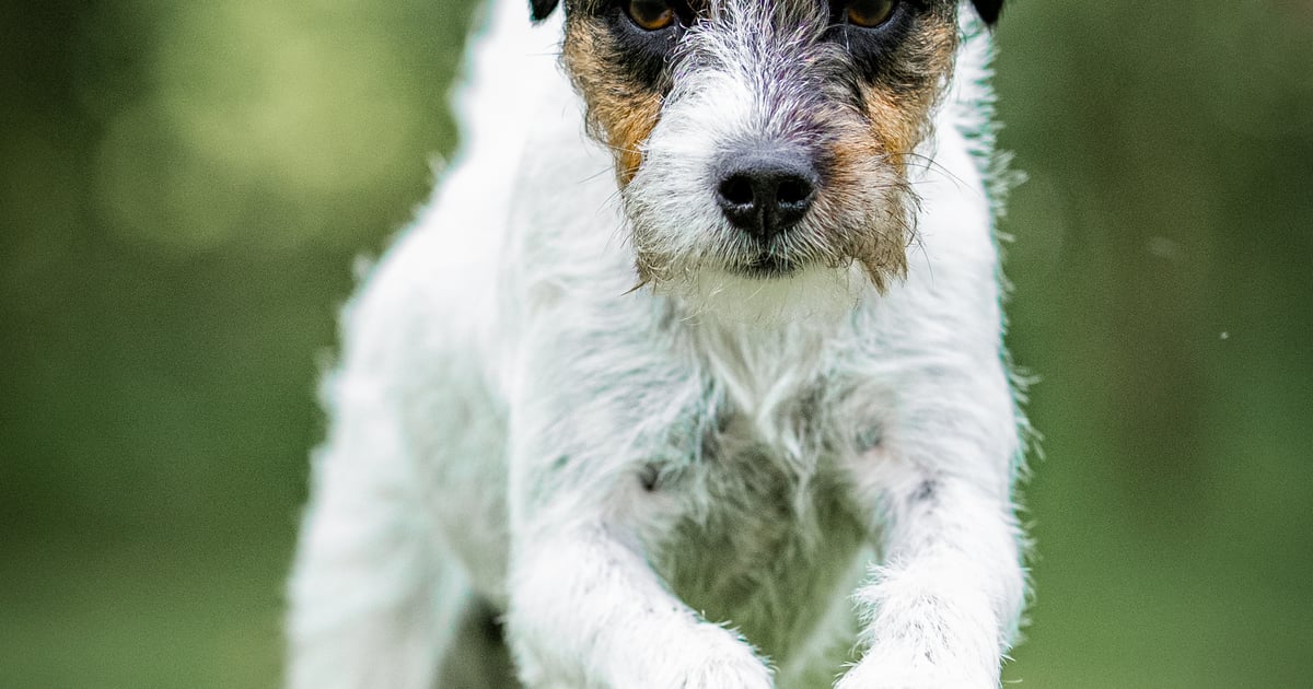 Home | Heike Graf Dynamic Future