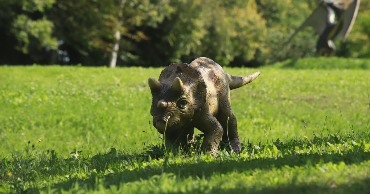 Tickets & Preise | Time Out - Der Familien & Freizeitpark