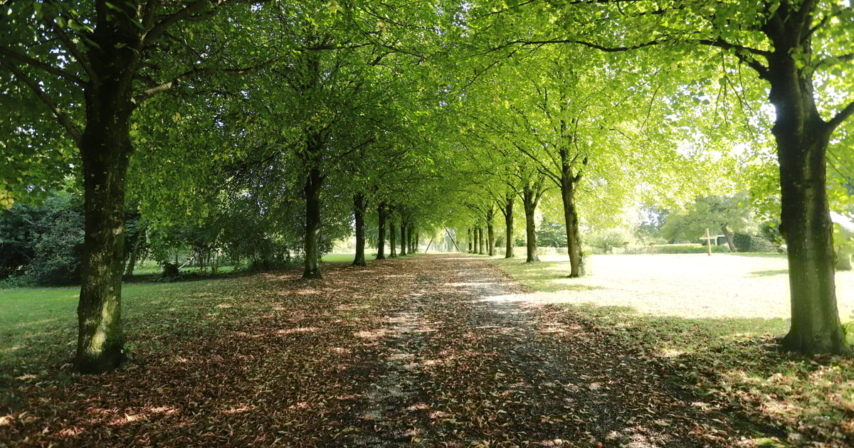 Time Out | Time Out - Der Familien & Freizeitpark