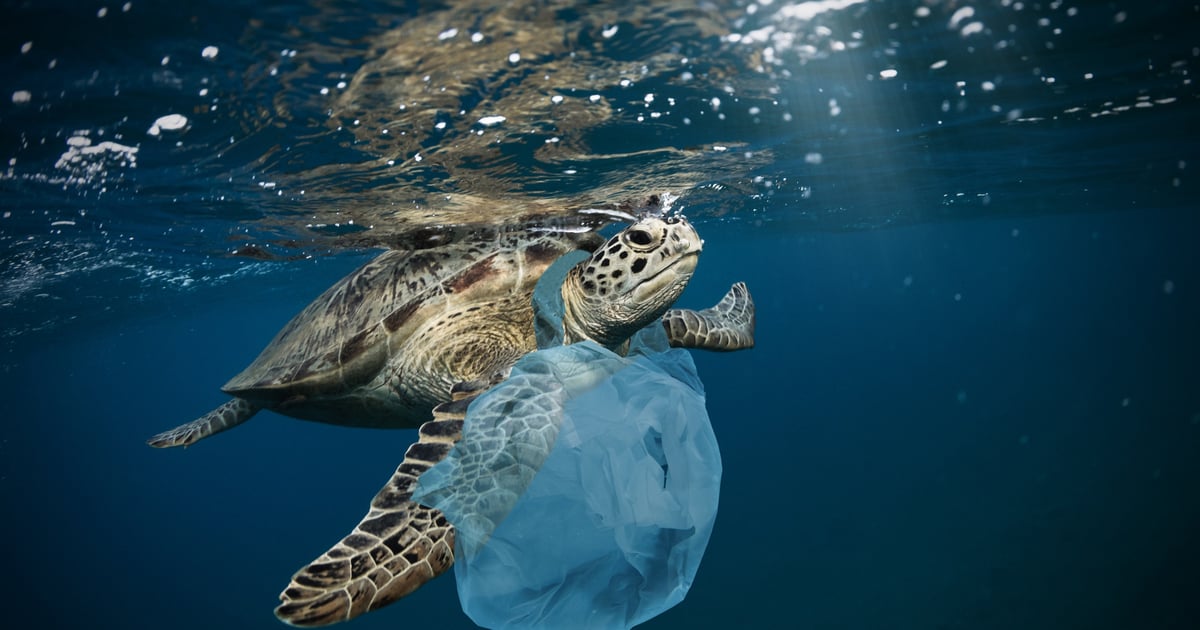 Home | CSR Planet Solution