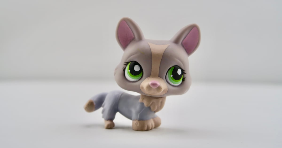 Corgis - Dogs - Shop | Lps.Luni