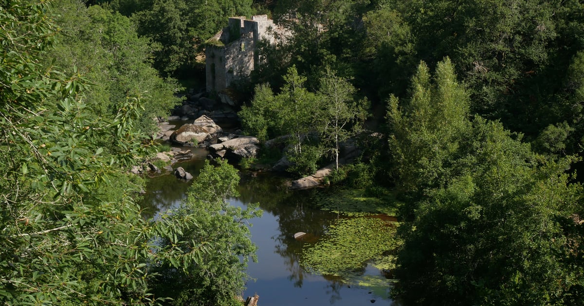 Découverte de la Vendée en gravel - Gravel - Prestations | IORE Bike concept