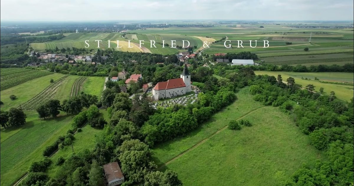 Home | Stillfried-Grub