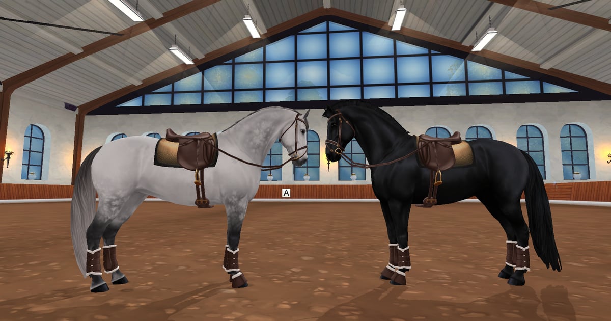 About us | The Queens Circle