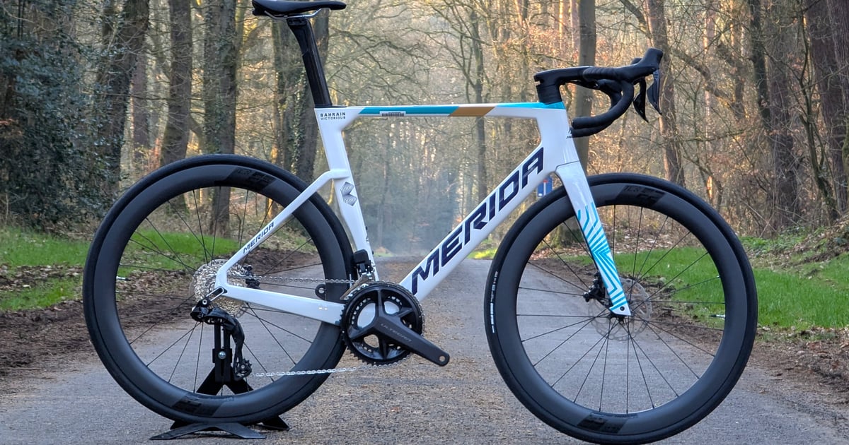 Merida Reacto 6000 2025 - Racebikes - Bikes | S-TEC sports