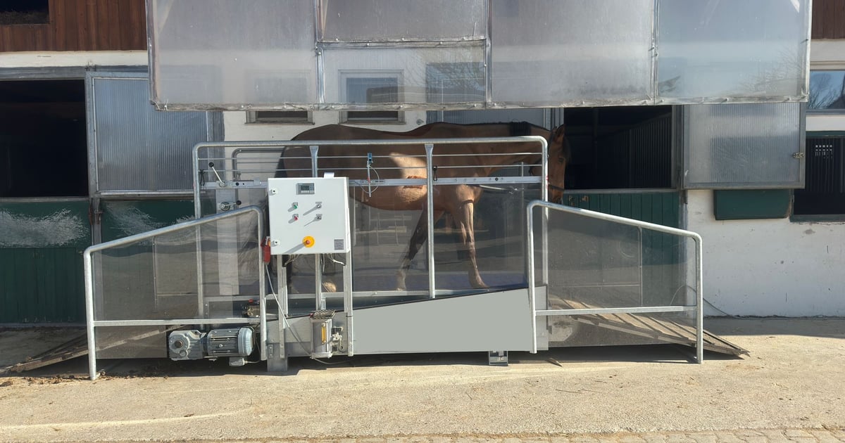 HORSE TREADMILL BY MITZEL S. | Pferdelaufband vom Profi!