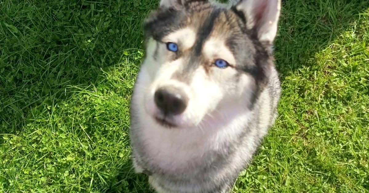 Accueil | Cap’Educ