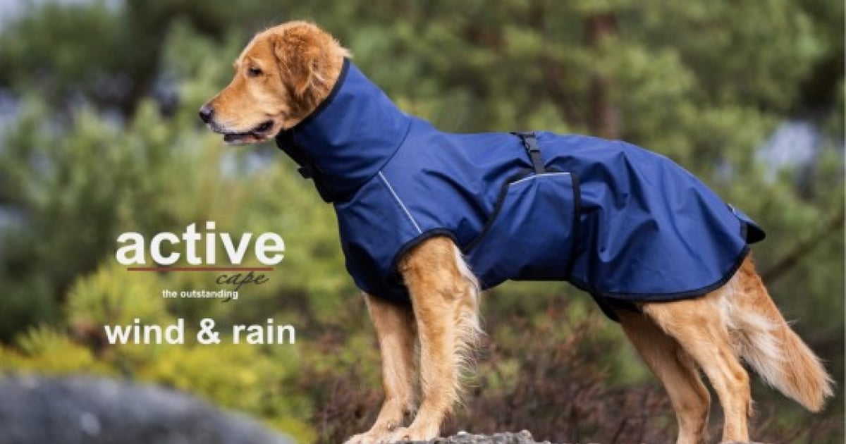 Raincoat Wind & Rain Pro - Raincoats - Shops | Haw-dogs.com