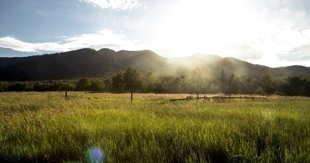 News | Nature Navigator