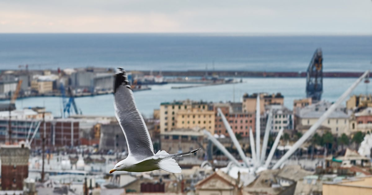 AlessandroPhotographer | Alessandro Photographer