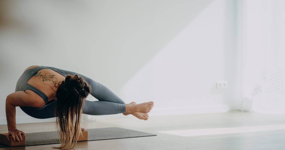 Galerie | Yoga Turtles Francisca Lohmann