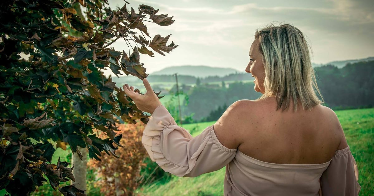 Verabschiedung Sternchen - Angebote | Daniela Schachinger